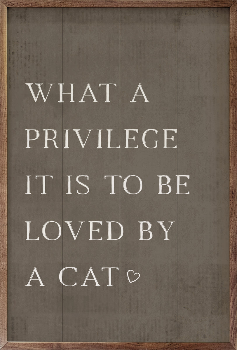 What A Privilege Cat – Kendrick Home