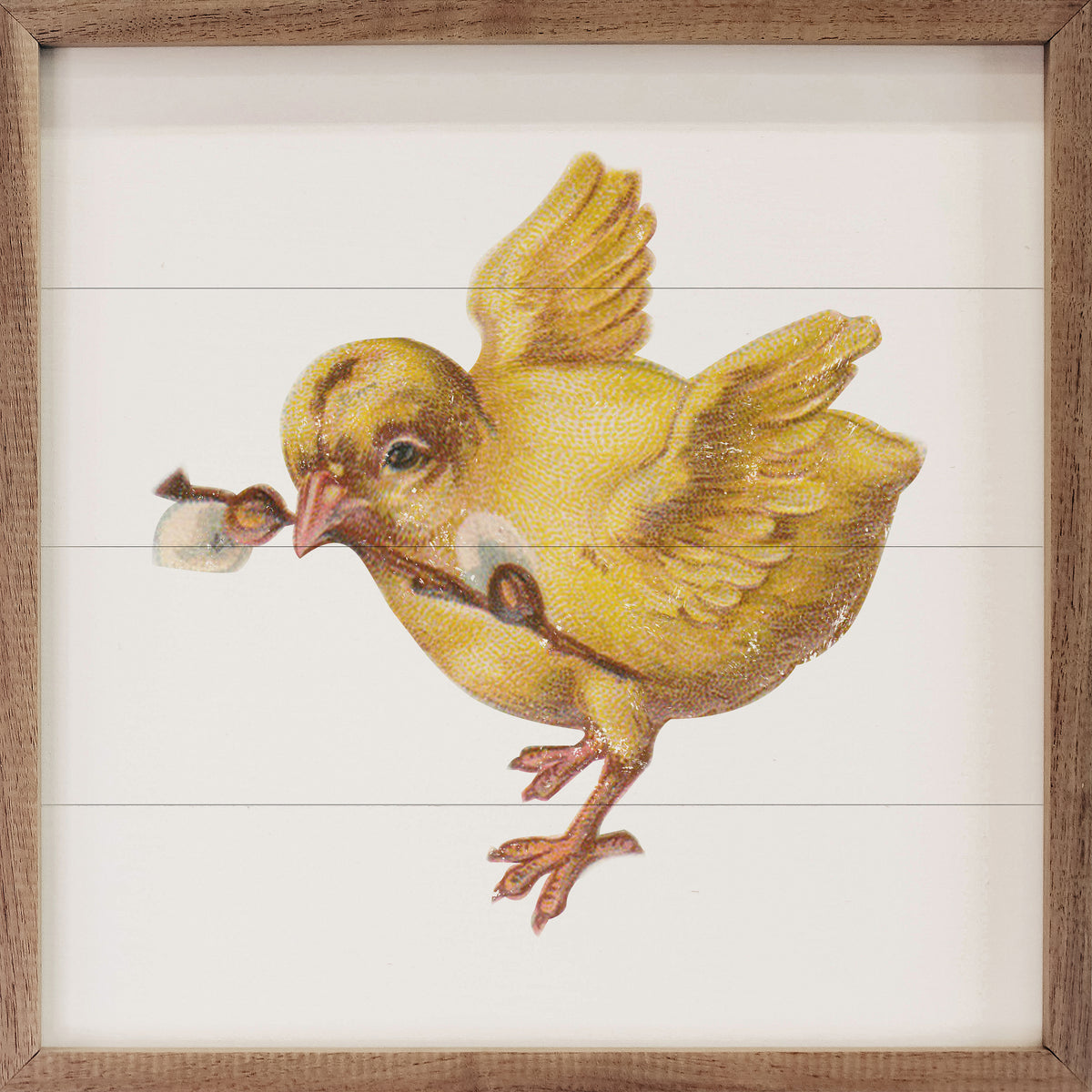 Chick With Pussywillow – Kendrick Home