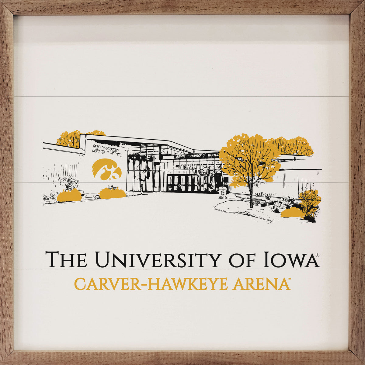Sketch IV Carver-Hawkeye Arena University Of Iowa – Kendrick Home