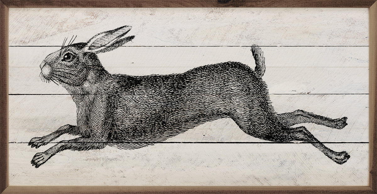 Rabbit Print – Kendrick Home